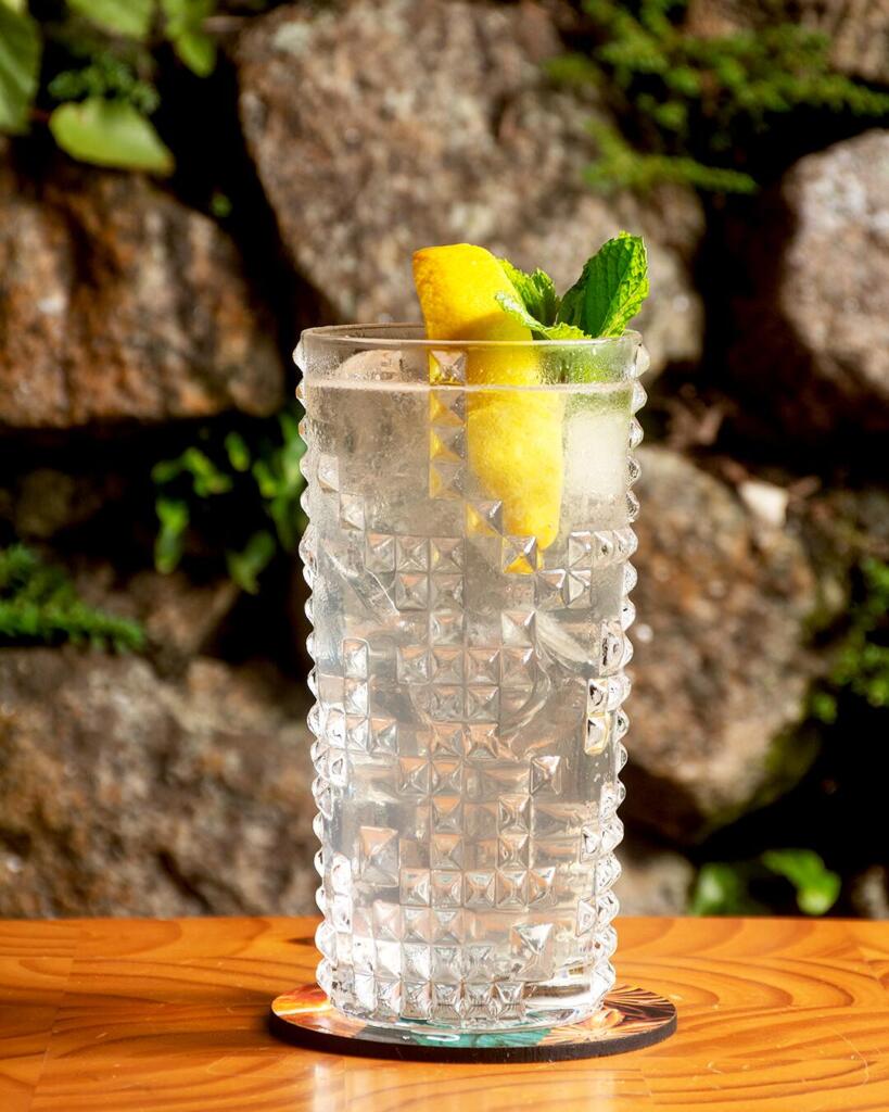 Descubra os melhores tipos de copo para cada drink preparado com gin ...