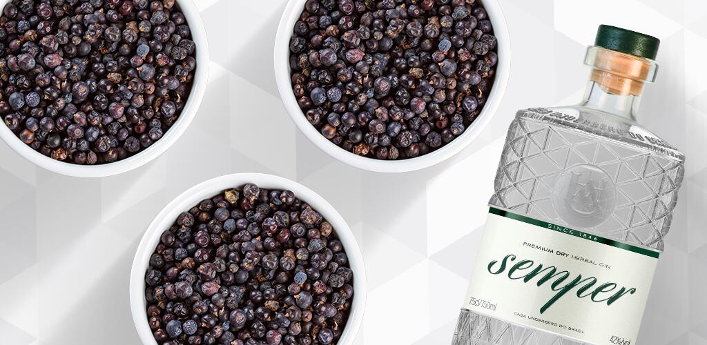 Zimbro: tudo sobre o ingrediente essencial do gin | SEMPER GIN